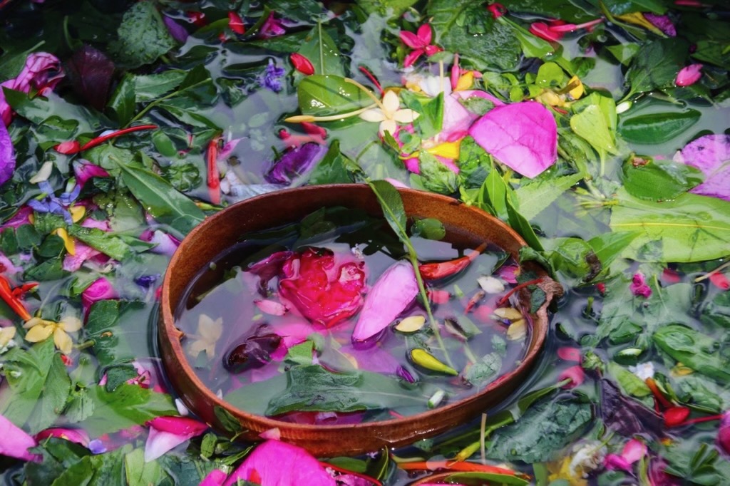 The Sacred Ritual of a Spiritual Bush Bath: A Personal Journey ...